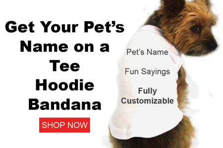 American Pet Place