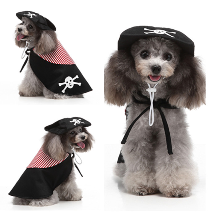 Halloween Pet Costumes for Dogs and Cats – American Pet Place